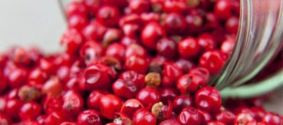 Pimenta Rosa • Livro de Culinária